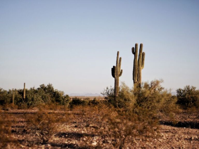 OSHA Training Corpus Christi, TX - HAZWOPER Center