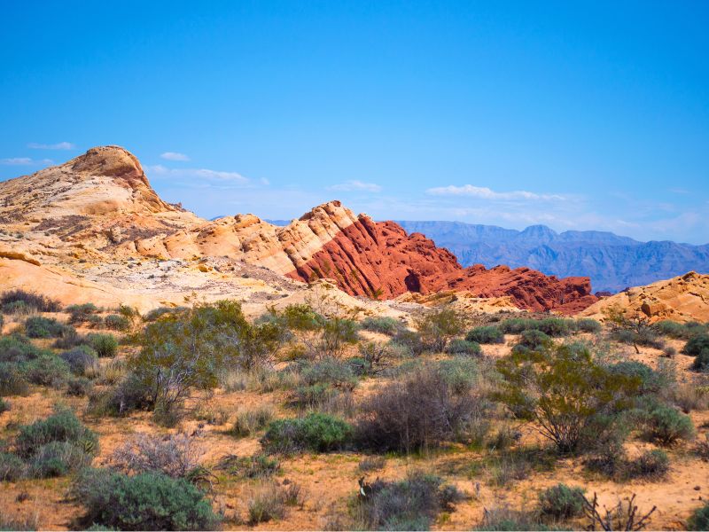 OSHA Training Las Vegas, NV - HAZWOPER Center